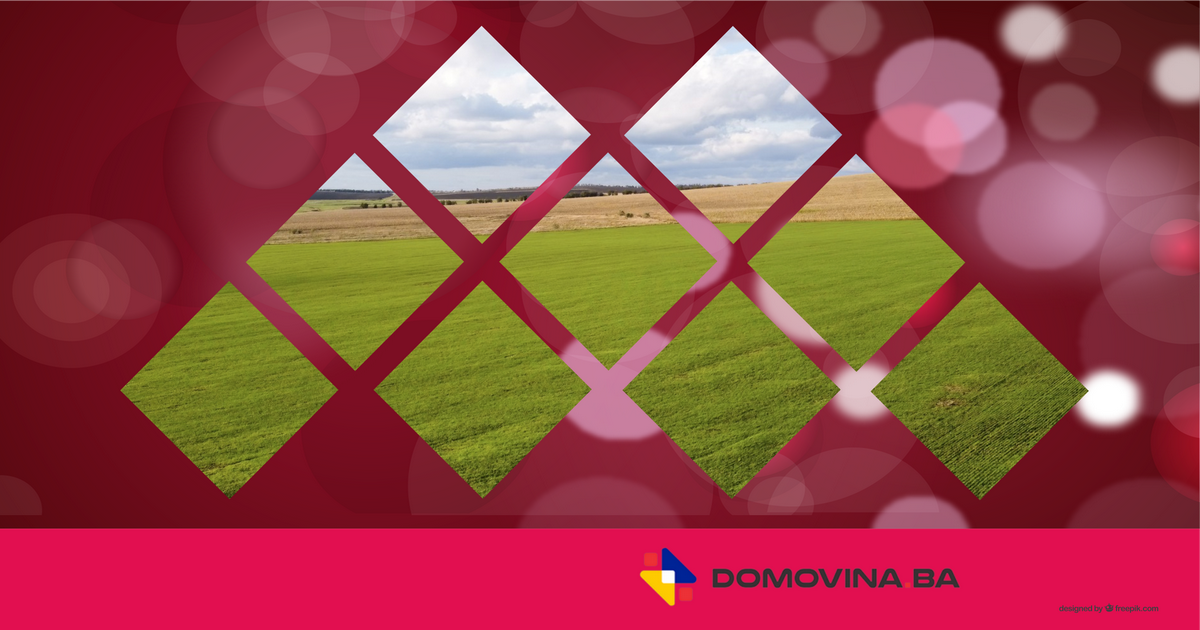 Domovina - domovina.ba